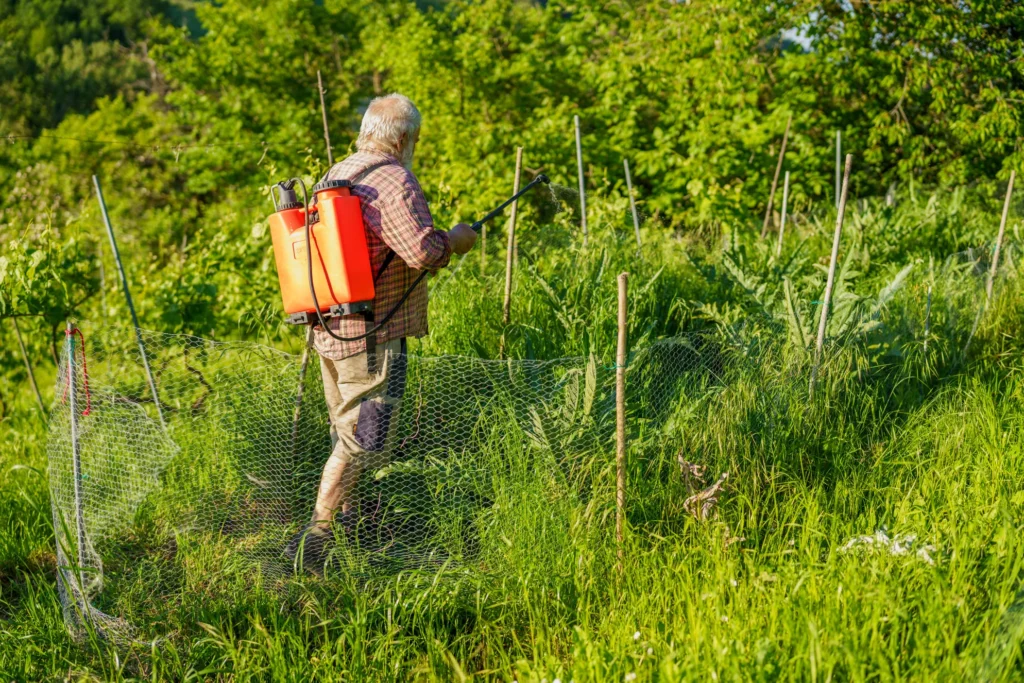 Best Time for Weed Control in NC | Seasonal Lawn Guide 2026
